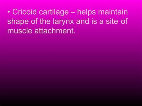 Respiratory System Of Goat Ppt