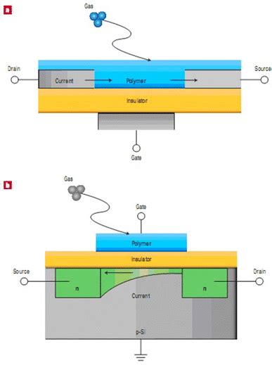 Organic Semiconductor Layers In Field Effect Transistor Sensors A