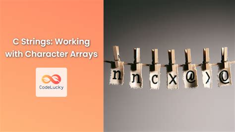 C Arrays Creating And Using Arrays Codelucky