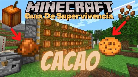 Como Usar El Cacao Y Granja Semi Automática ️minecraft Guía De