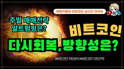 비트코인 실시간 비트 다시 회복 방향성은 주말 매매전략 알트펌핑은 316 아침💎비트코인 비트코인실시간 이더리움 리플 Cryptocurrency 차트분석