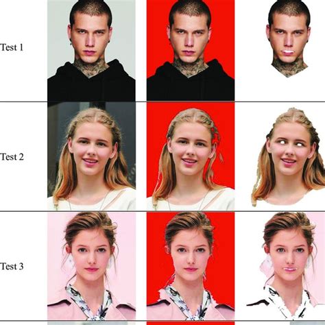Pdf Portrait Extraction Algorithm Based On Face Detection And Image