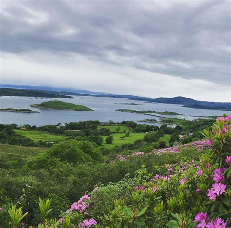 Lunga Estate Seaside Scottish Holiday Rental Accomodation For Your