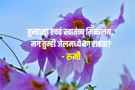 Rumi Quotes व्हॉट्सअप स्टेटसला ठेवा रुमींचे सुंदर विचार सर्वांनाच आवडतील News18 लोकमत