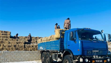 Цас зудын нөхцөл байдал хүндэрсэн аймгуудад ажиллах хүчийг нэмэгдүүллээ
