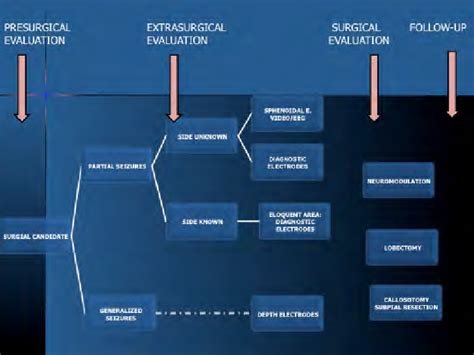 Surgical Evaluation Of The Epileptic Patient This Figure Depicts The Download Scientific