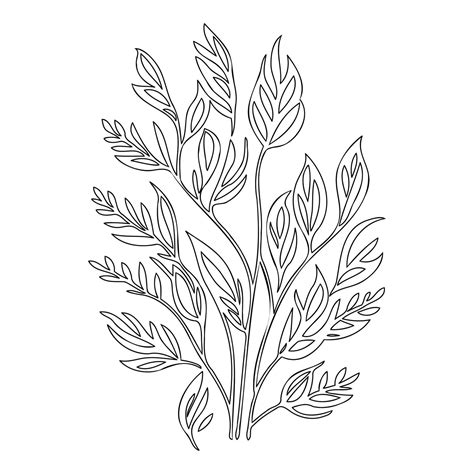 Parallel Leaf Floral Outline Illustration Sketch 47389080 Vector Art At Vecteezy