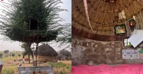 कटदर पड पर कसन न बनय घर अदर स दखकर उड जएग हश इजनयर भ नह सच पएग