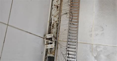 청소도 꼼꼼하게 해주시고 에어컨 청소까지 추가로 했는데 일정시간에 맞춰서 엄청 잘 맞춰주셨어요 숨고 숨은고수