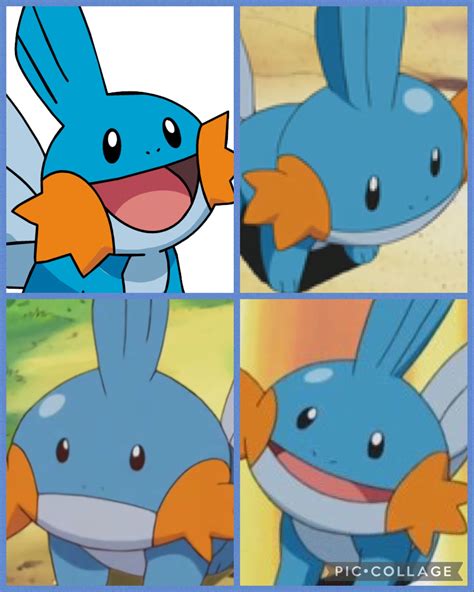 Mudkip Collage By Elenathehawk On Deviantart
