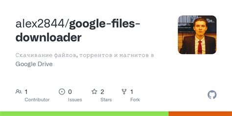 GitHub alex2844 google files downloader Скачивание файлов торрентов и магнитов в Google Drive