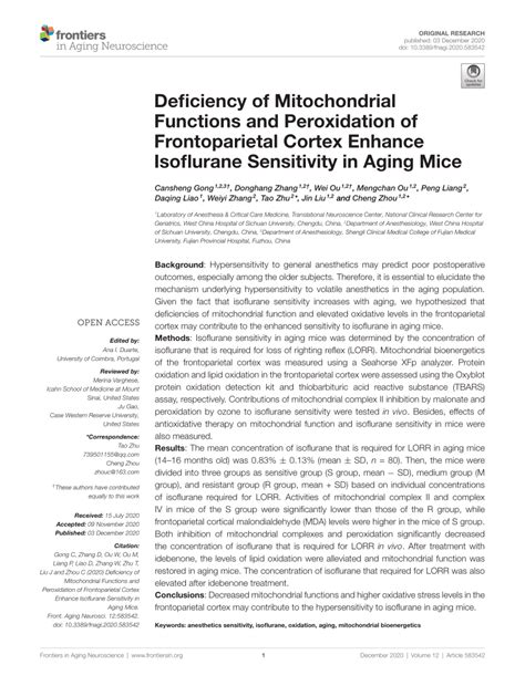 Pdf Deficiency Of Mitochondrial Functions And Peroxidation Of