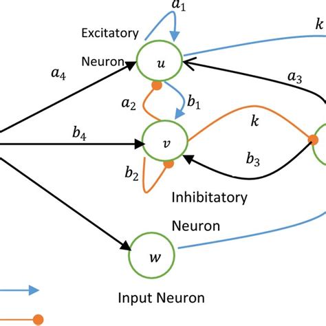 Neuronal Structure Of Lee Oscillator Download Scientific Diagram