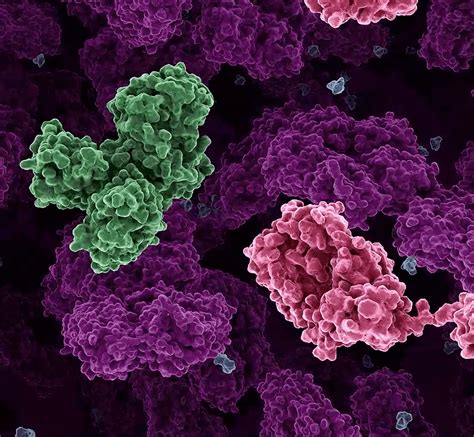 Generate Bio Which Uses Ml For New Drugs Raises 370m Dailyalts
