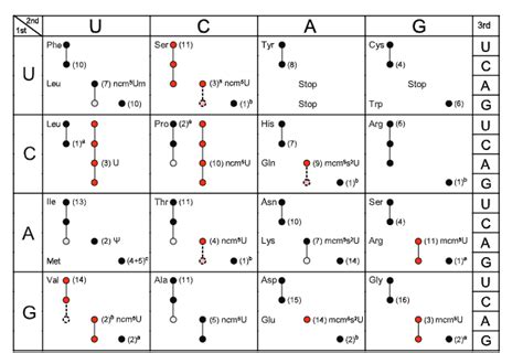 Solved A Find The Examples Of U Robustly Decoding Only Two