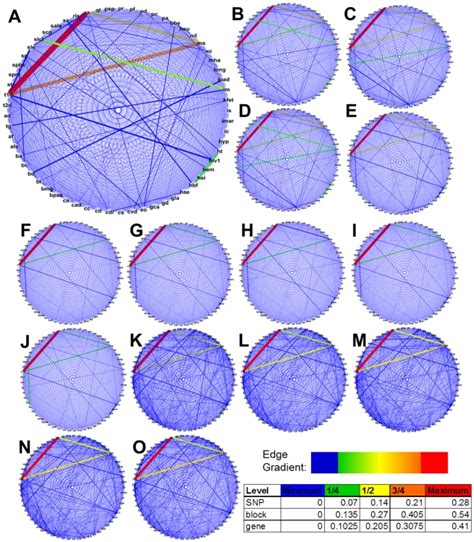 Drns Across Three Levels Of Snp Data Analysis For Five Populations Ceu