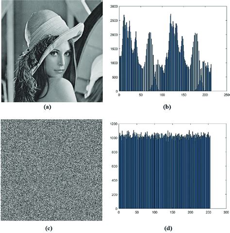 histogram analysis a plain image b histogram of plain image c