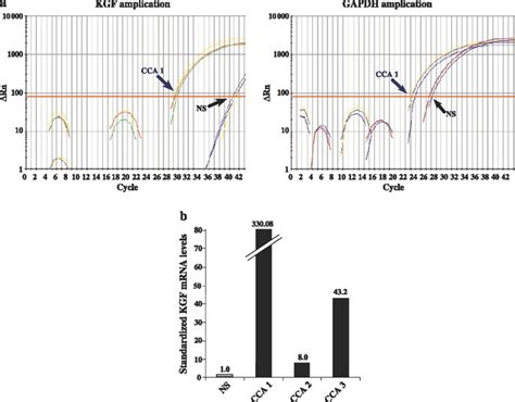Logarithmic Representation Of Amplification Plots Obtained For Kgf