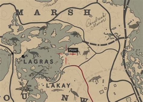 New Panther Location Found Fixed Rrdr2