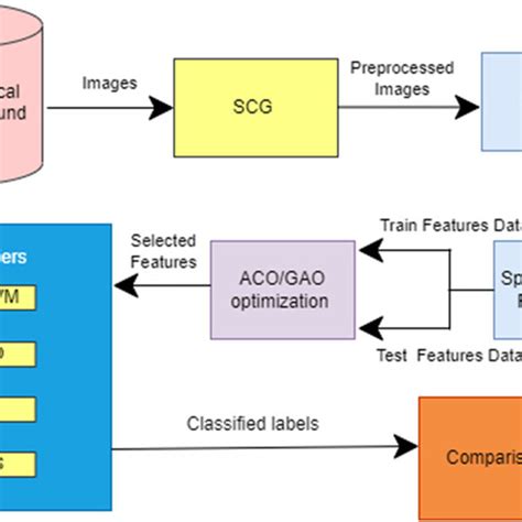 Resnet 18 Feature Extractor Download Scientific Diagram