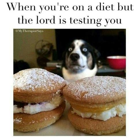 Diet Memes Funny Diet Memes Diet Humor Funny Pictures