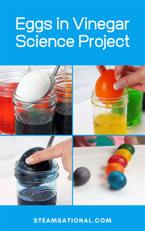 How To Do The Bouncy Rainbow Rubber Eggs Experiment