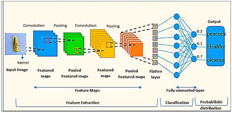 Dynamic Clustering Strategies Boosting Deep Learning In Olive Leaf
