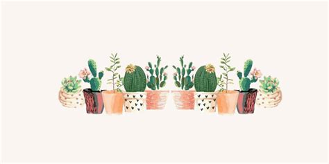 Beautycactus Hobbyist Digital Artist Deviantart