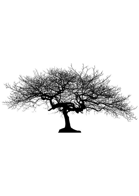 Winter Tree Without Leaves Free SVG File