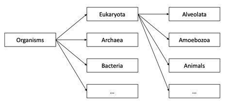 navigating knowledge management implementation success in government organizations a type 2