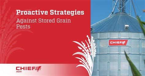 Proactive Strategies Against Stored Grain Pests Chief Agri