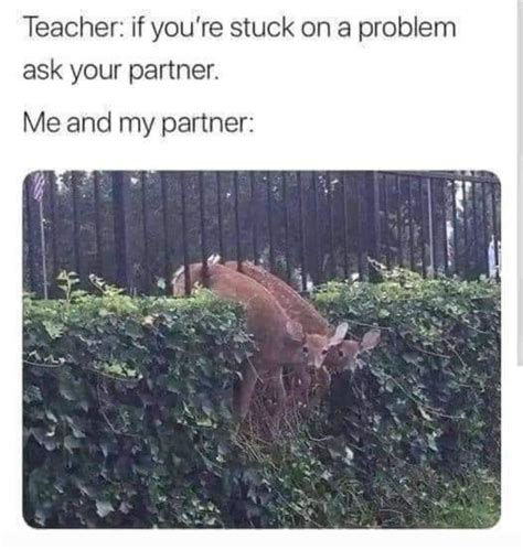 Avanish Kumar On Linkedin 😊