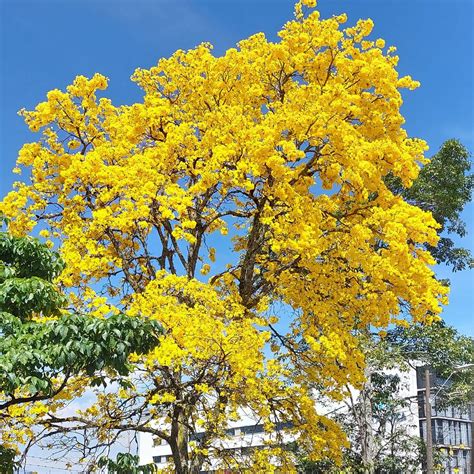 ‎lcaps Profile • Letterboxd