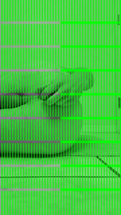 Perdió La Salchicha Xhamster