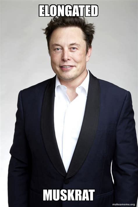 Elongated Muskrat Elon Musk Meme Generator