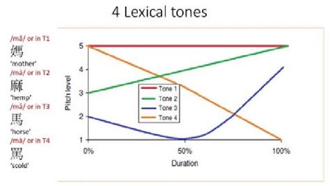 Schematic Lexical Tone Contour Of Mandarin 21 Rationale And Predictions Download Scientific