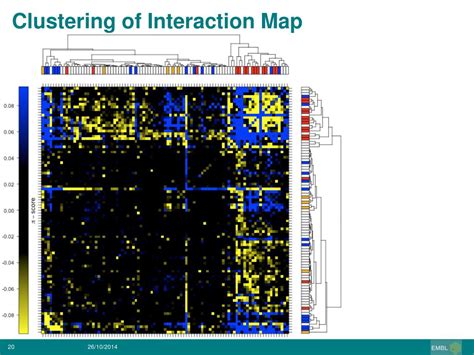 Ppt Functional Information From Genetic Interactions Powerpoint