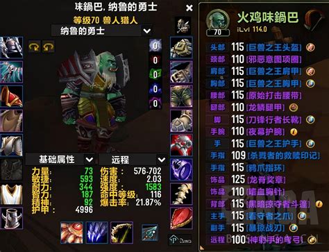 魔兽世界怀旧服：tbc P1阶段兽王猎个人心得敏捷