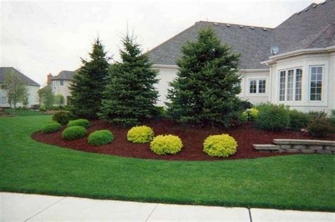 103 Beautiful Evergreen Grasses Landscaping Ideas