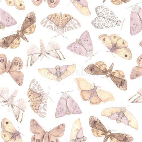 Seamless Pattern With Watercolor Beige Moth Insect Stock Illustration