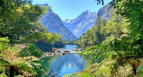 Milford Track New Zealand