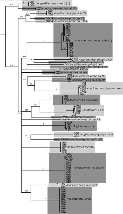 Bayesian Tree Reconstructed Using 50 Majority Rule Consensus Based On