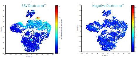 Multi Omics Characterization Of T Cell Populations At The Single Cell Level Utilizing Sensitive
