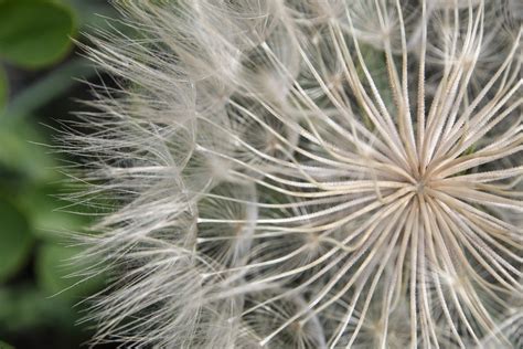 The Relational Field And Why You Need To Understand How It Works An Ai