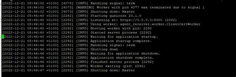 autostart doesn t work troubleshooting checkmk community