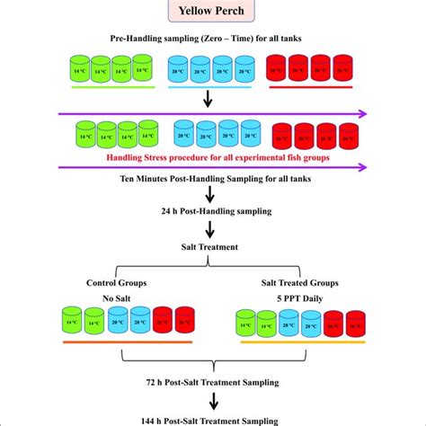Experimental Design And Sampling Points Download Scientific Diagram