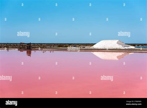 Gruissan South Of France The Salt Marshes Of St Martin Island Whose Pink Red Color Is Due To