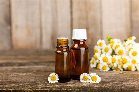 나무 배경에 카모마일 에센셜 오일이 있는 유리병 카모마일 꽃 클로즈업 아로마 테라피 스파 및 약초 재료 뷰티 컨셉 공간을 복사합니다 천연 화장품 건강관리와 의술에 대한 스톡