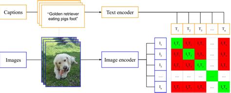 A Visual Representation Of Contrastive Pre Training The Figure Is Download Scientific Diagram