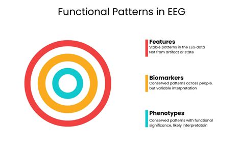Biohacking With Eeg Phenotypes Predicting Function From Eeg